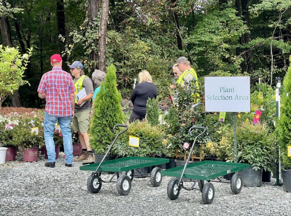 Tree & Shrub Farm Market | Piedmont Carolina Nursery